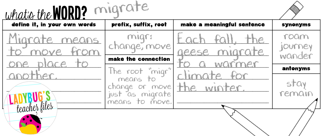 A Vocabulary Graphic Organizer - Ladybug's Teacher Files