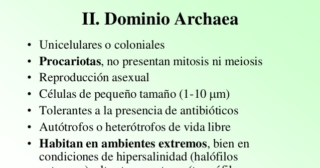 Caracteristicas Del Reino Archaea