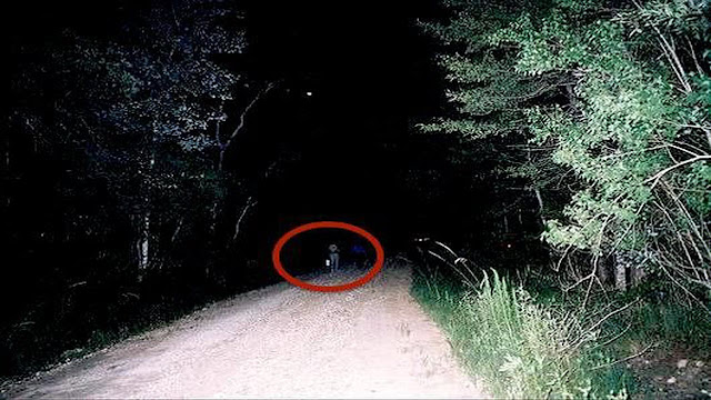 5 Creepiest & Most Haunted Roads In The World