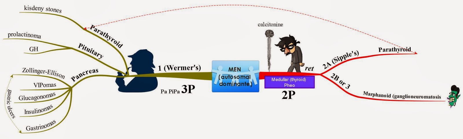 Medical MindMaps for USMLE Step 1: MEN Syndromes