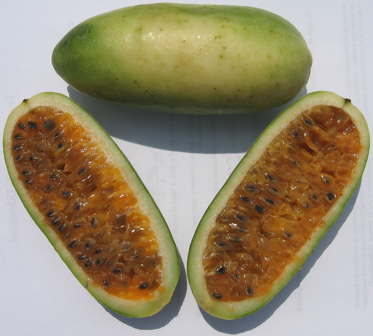 Α-Ω ΠΑΣΙΦΛΟΡΑ ΜΠΑΝΑΝΑ, PATION FRUIT Passiflora tripartita mollissima ...