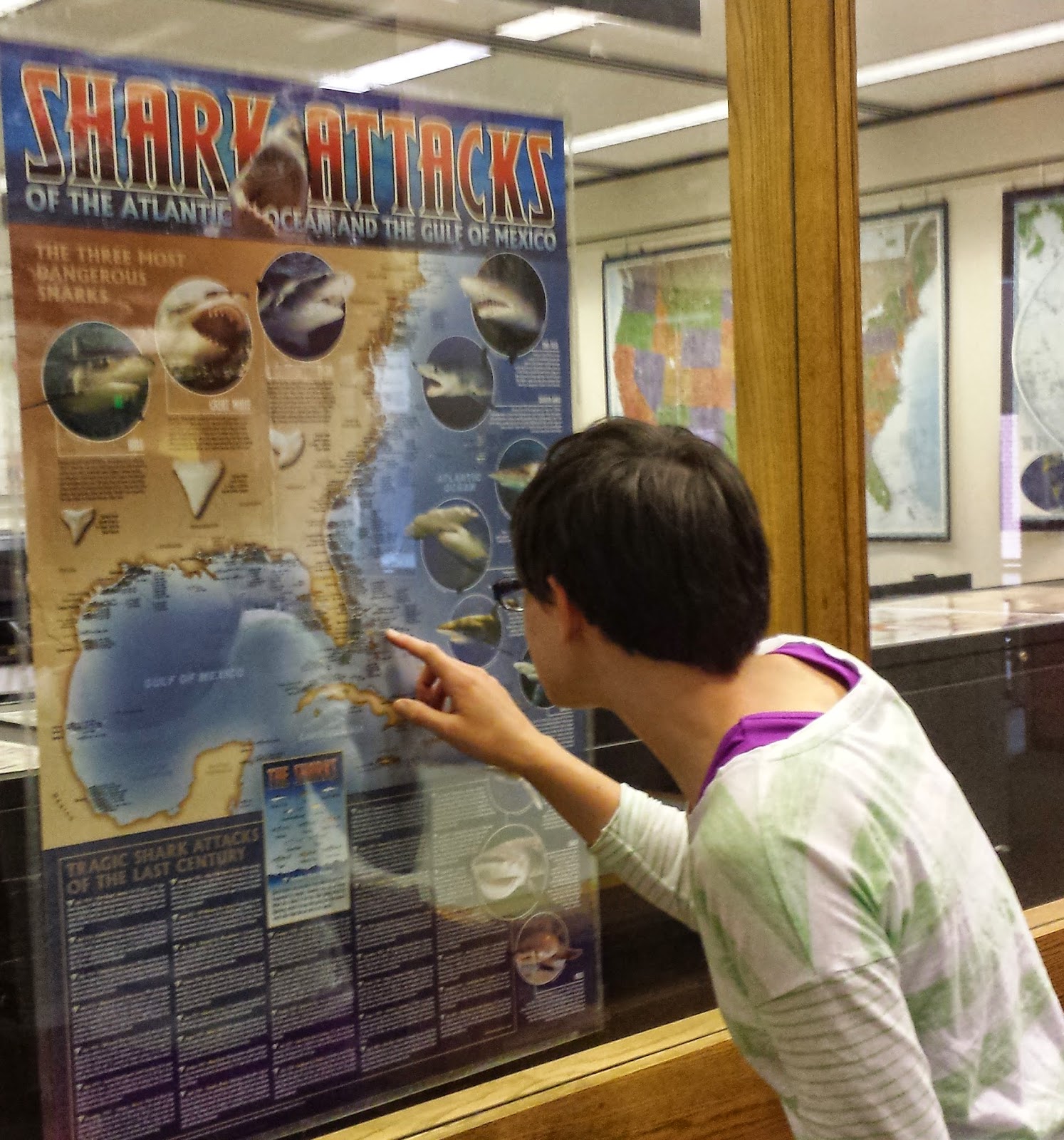 GIS Research and Map Collection: Maps in the News