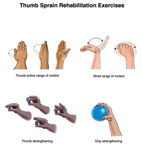 EXCLUSIVE PHYSIOTHERAPY GUIDE FOR PHYSIOTHERAPISTS: EXERCISE FOR THUMB ...