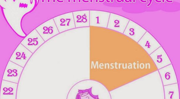 Siklus Haid Dan Cara Menghitung Masa Subur Wanita Setelah Datang Bulan ...