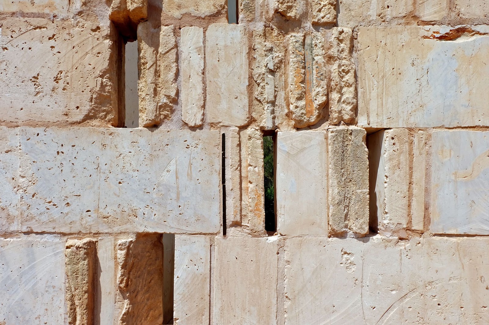 Martín . Moya . Oliver . Reina – a f a s i a