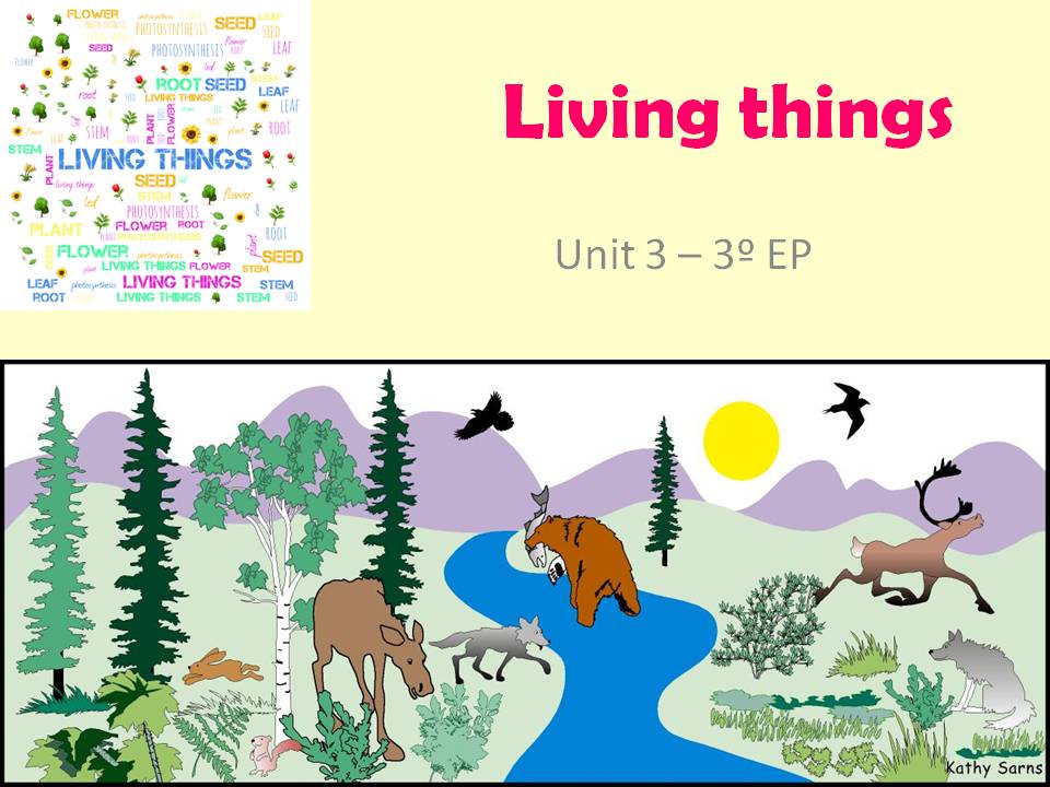 MilaEnglish Blog: Living things - 3º EP