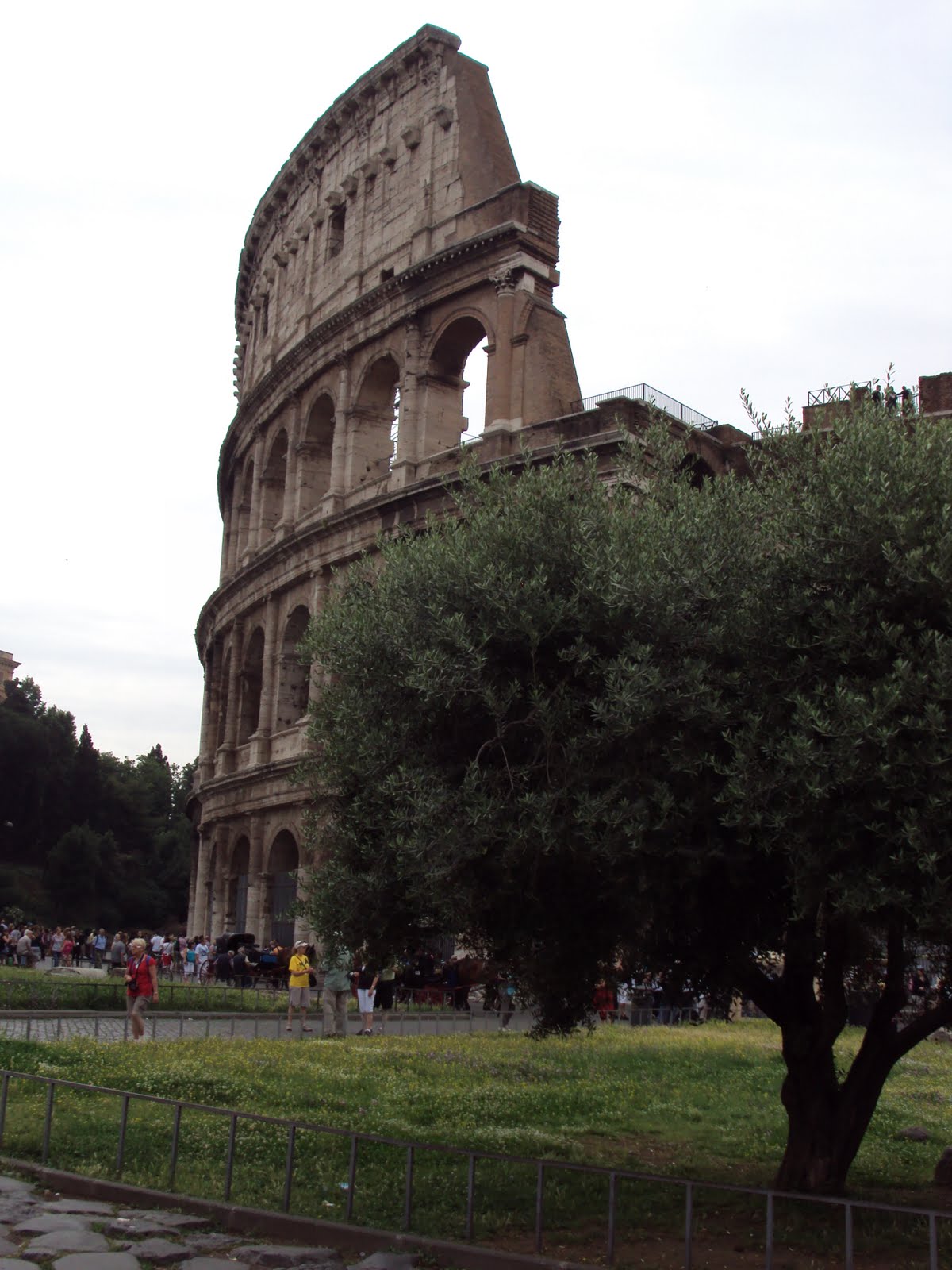 A Daily Dose of Rome: 2011-06-05