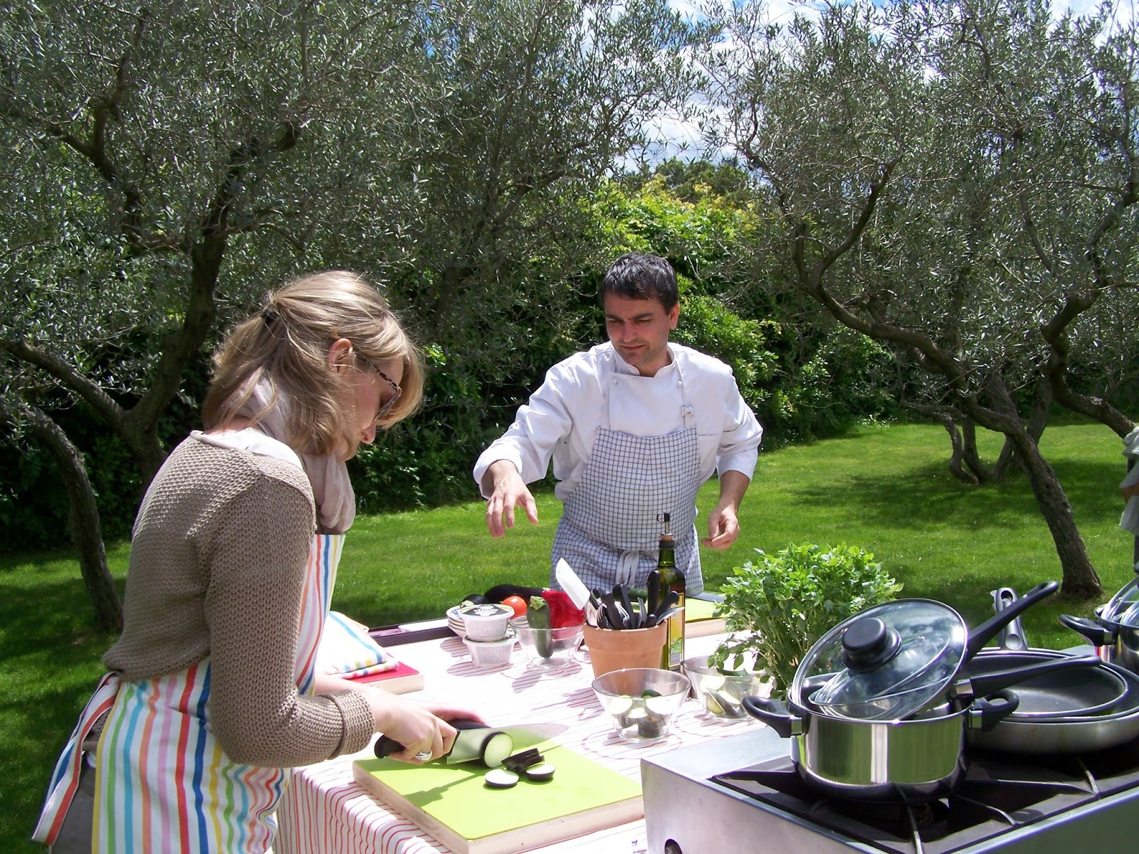 Saint Remy de Provence and Around: Provencal Hotel with Cooking classes ...