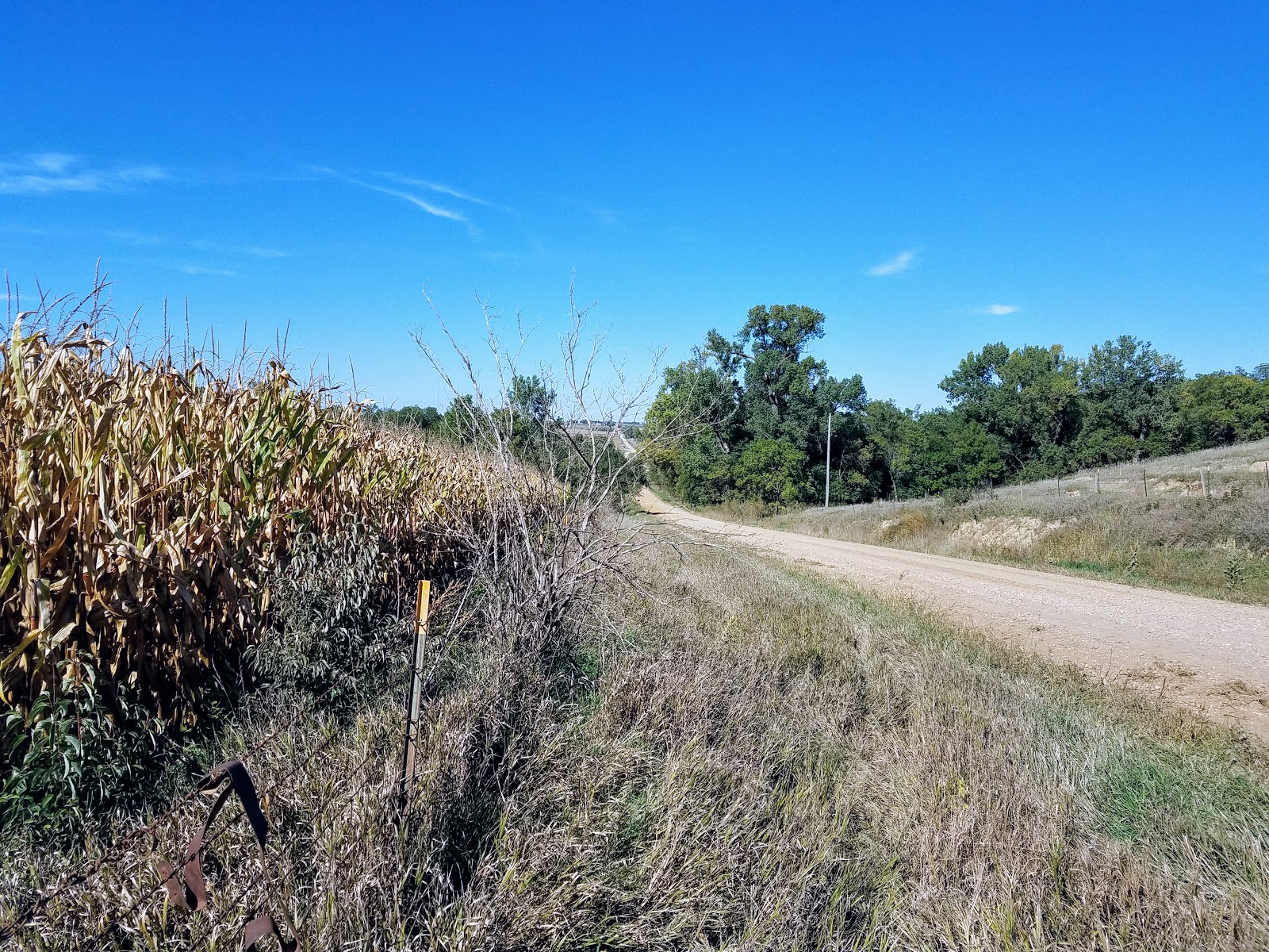 History and Culture by Bicycle: Geocache: Found, Traditional, micro ...