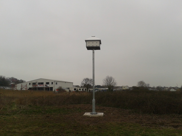 Glamorgan Swift Champions: Cadoxton Ponds Swift Tower