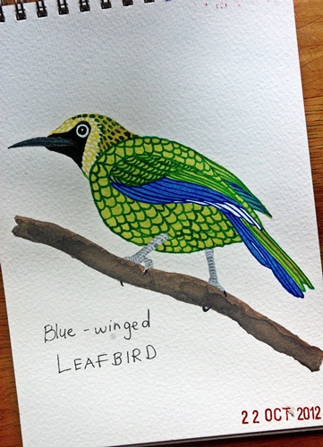 Such Pretty Canvas: 30 Sketches - Malaysian birds