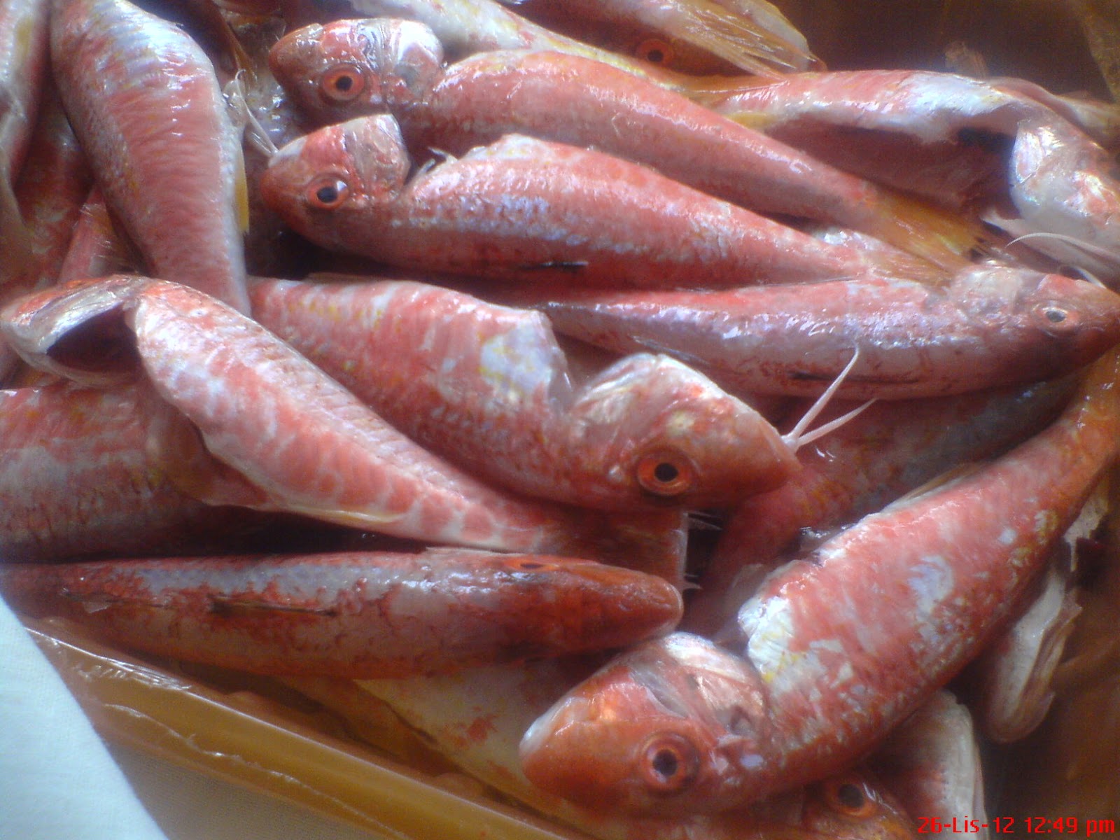 Iz moje kuhinje: Sto petkom kuhati?riba i njoki sa sirom