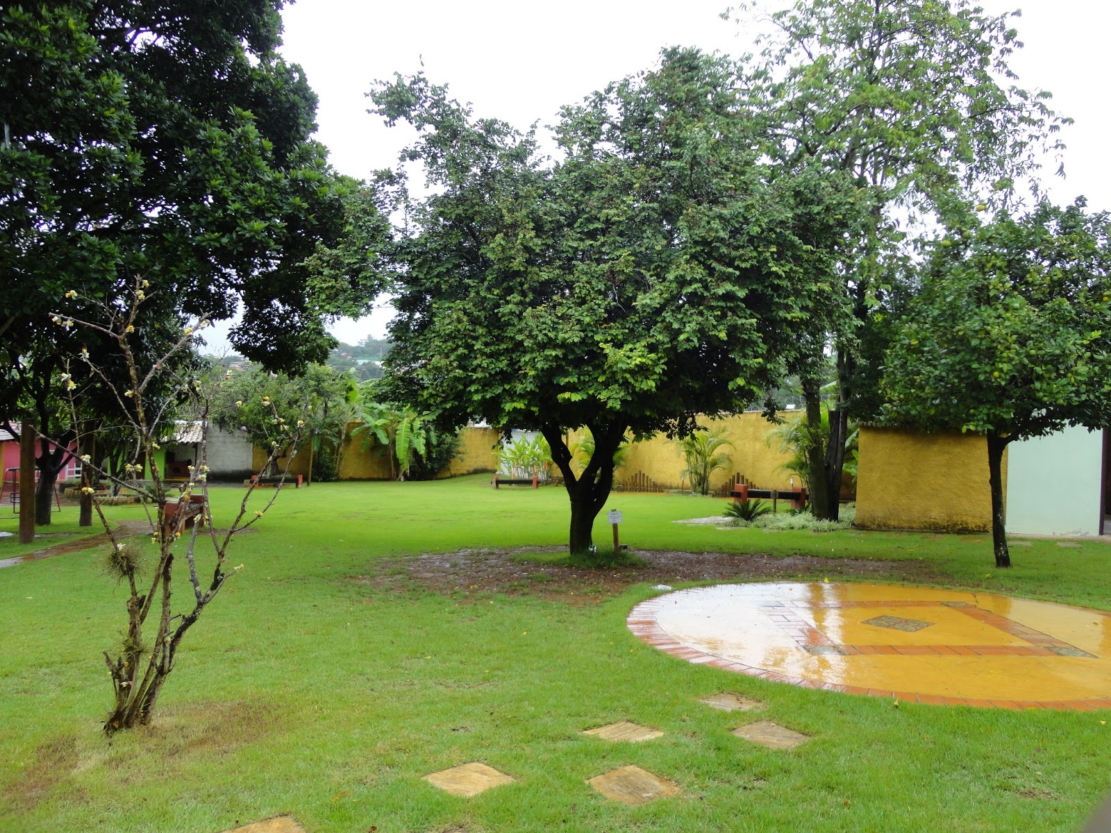 Quintal Brasil: Conheça o Quintal Brasil