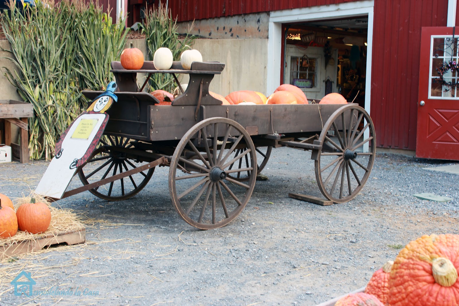 Let's Go to the Farm! - Remodelando la Casa