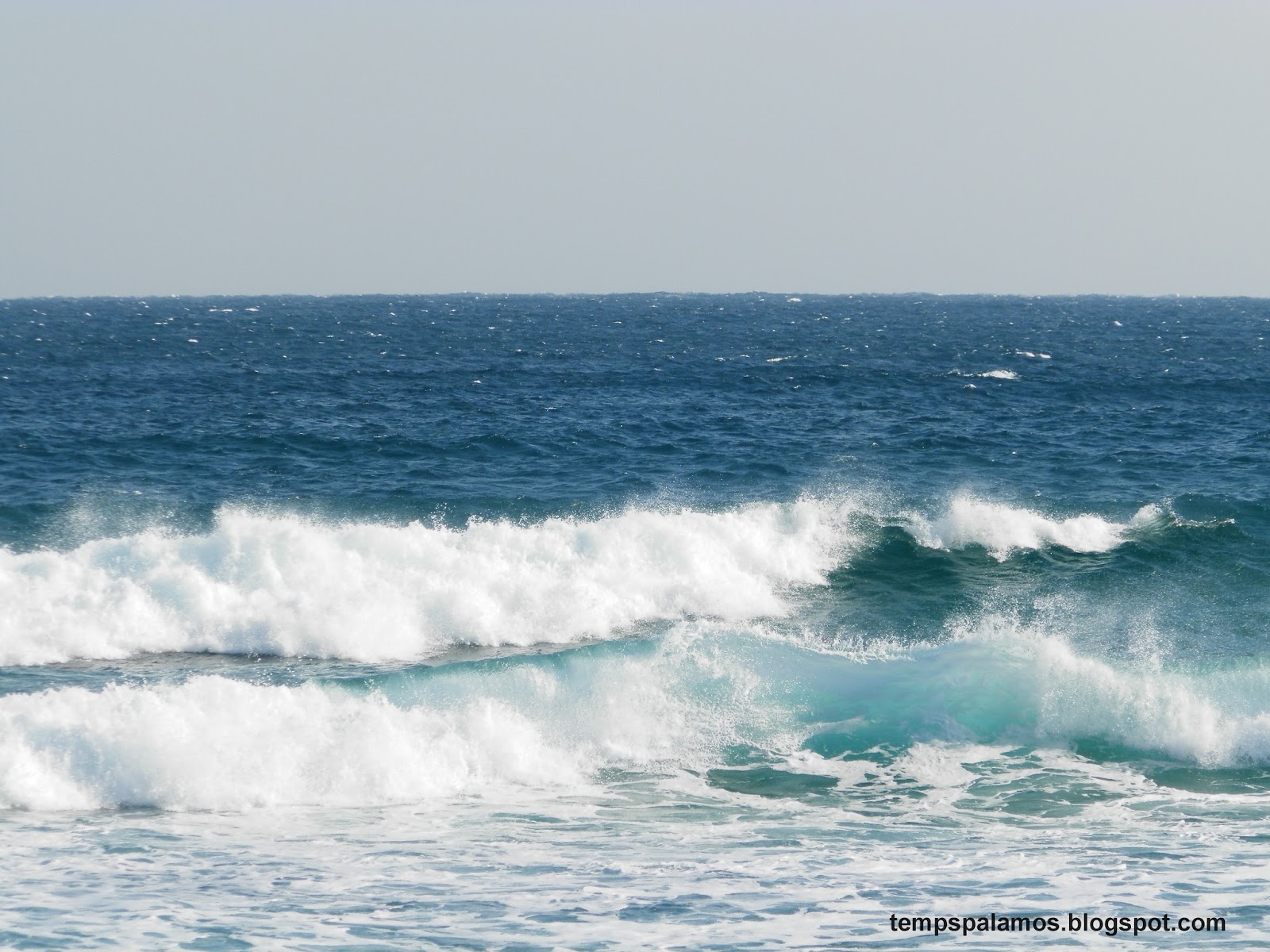 El temps a Palamós: 19 de gener: més mar de fons, la temperatura màxima ...