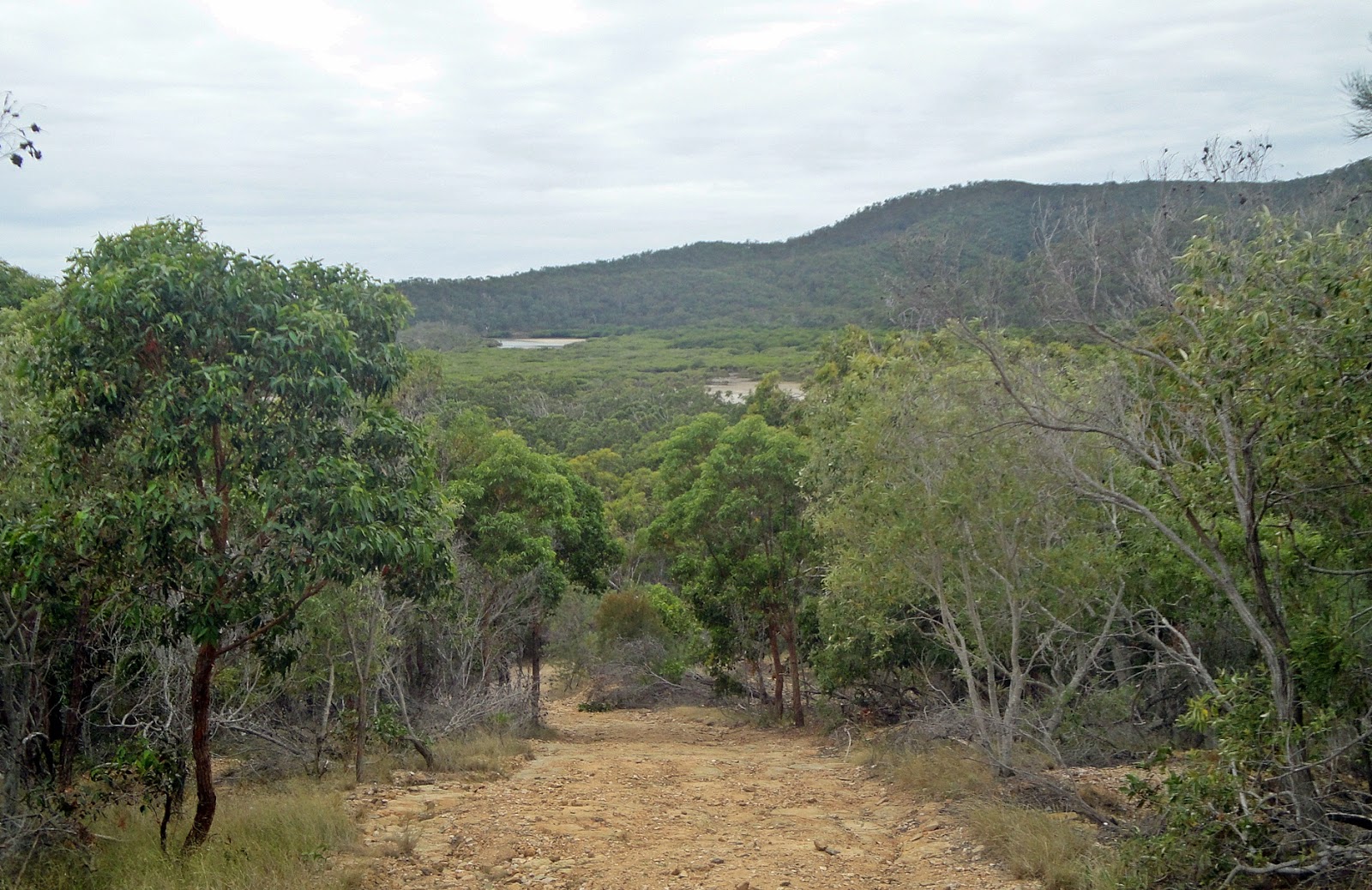 Due Course Now: June 2017