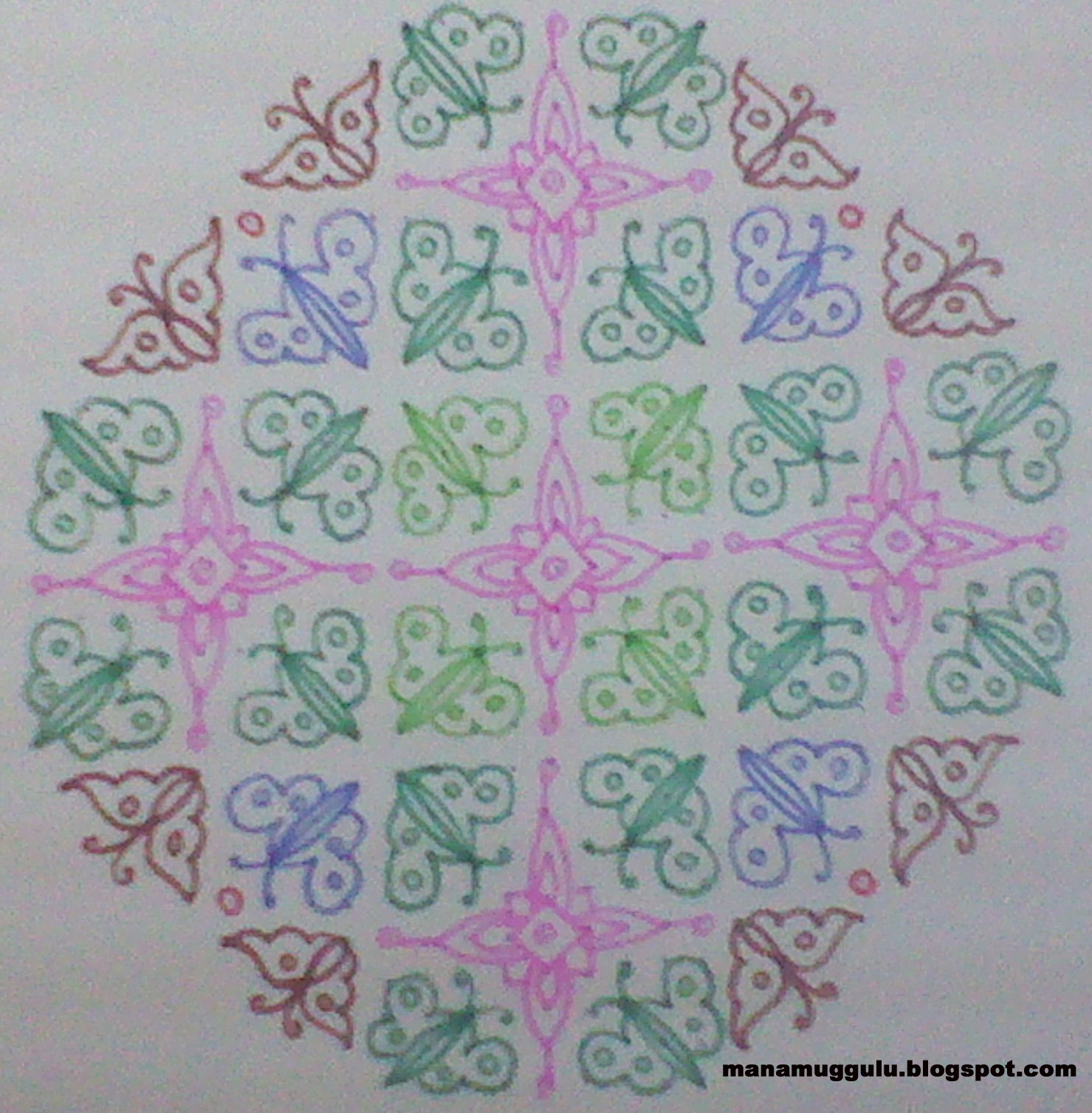 Butterfly Muggu - MANA MUGGULU