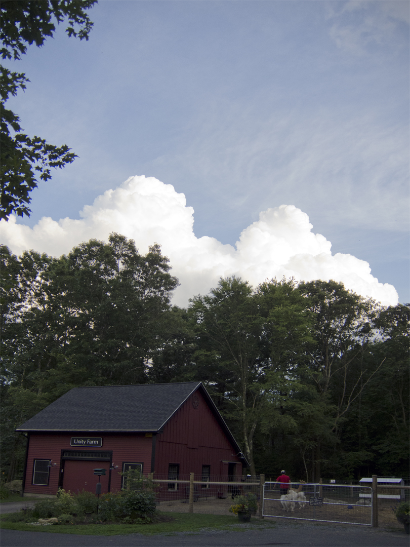 Dispatch from the Digital Health Frontier: Building Unity Farm - Scenes ...