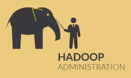 All about MS SQL Server And Hadoop Administrator