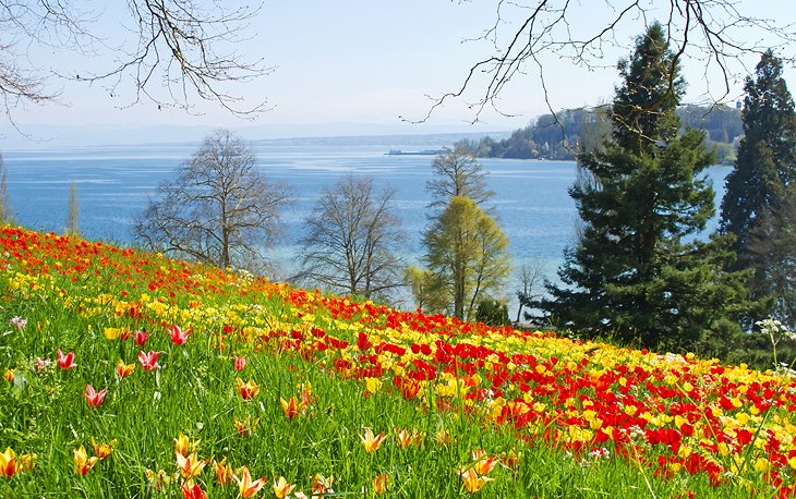 Insel Mainau: The Flower Island of Lake Constance - hotel-1000