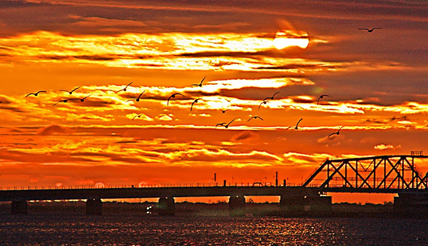 Astrophotography Blog: Solar eclipse from New York November 3, 2013 ...