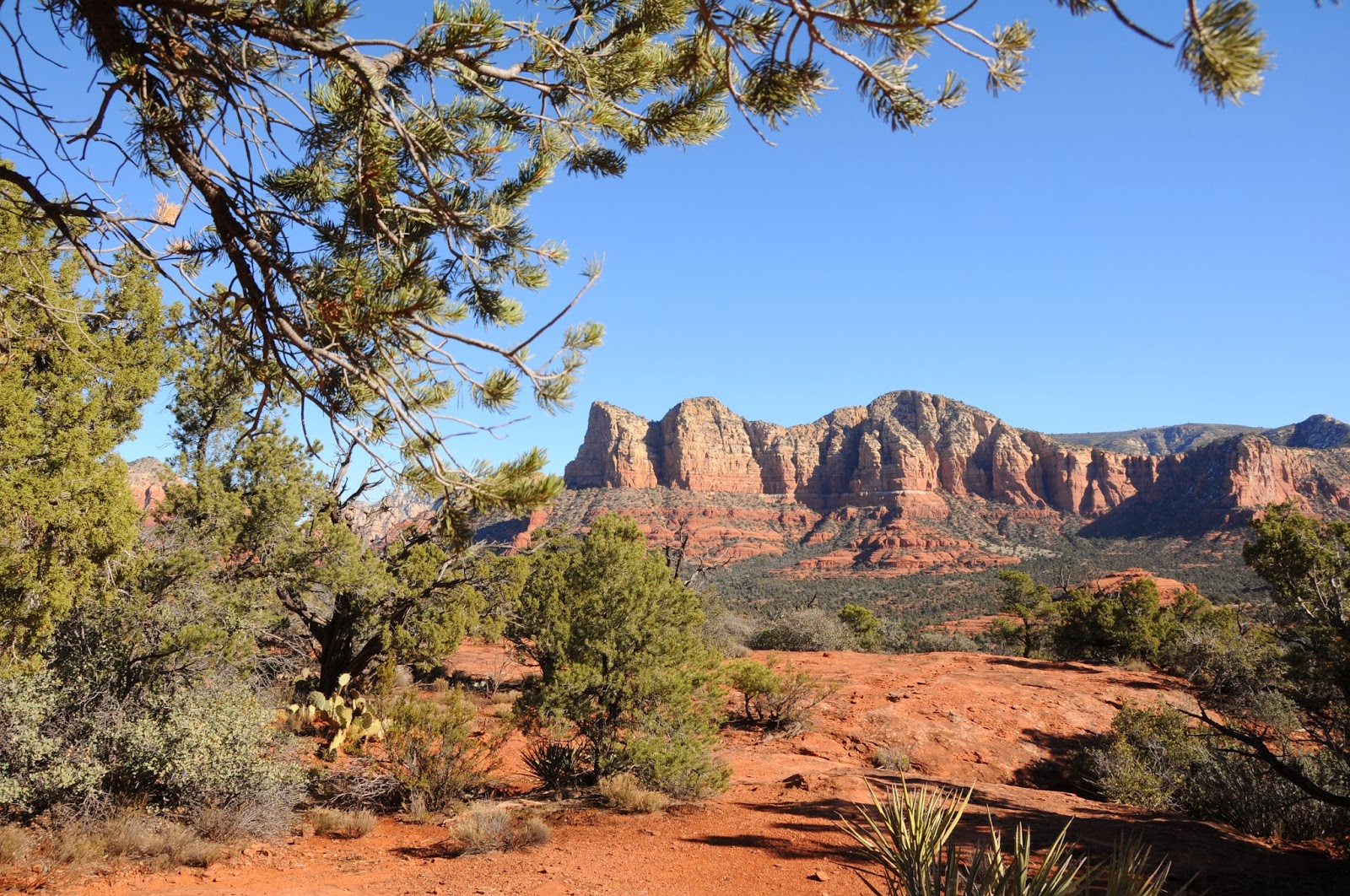 Arizona Hiking: YAVAPAI POINT TRAILS