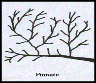 Arjun2016: Sistem Aliran Geologi Umum