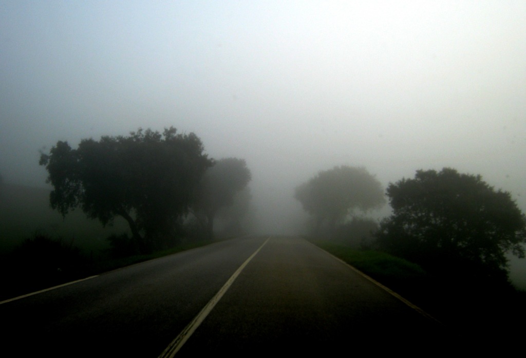 ENTREFOTOS: Um dia... de nevoeiro