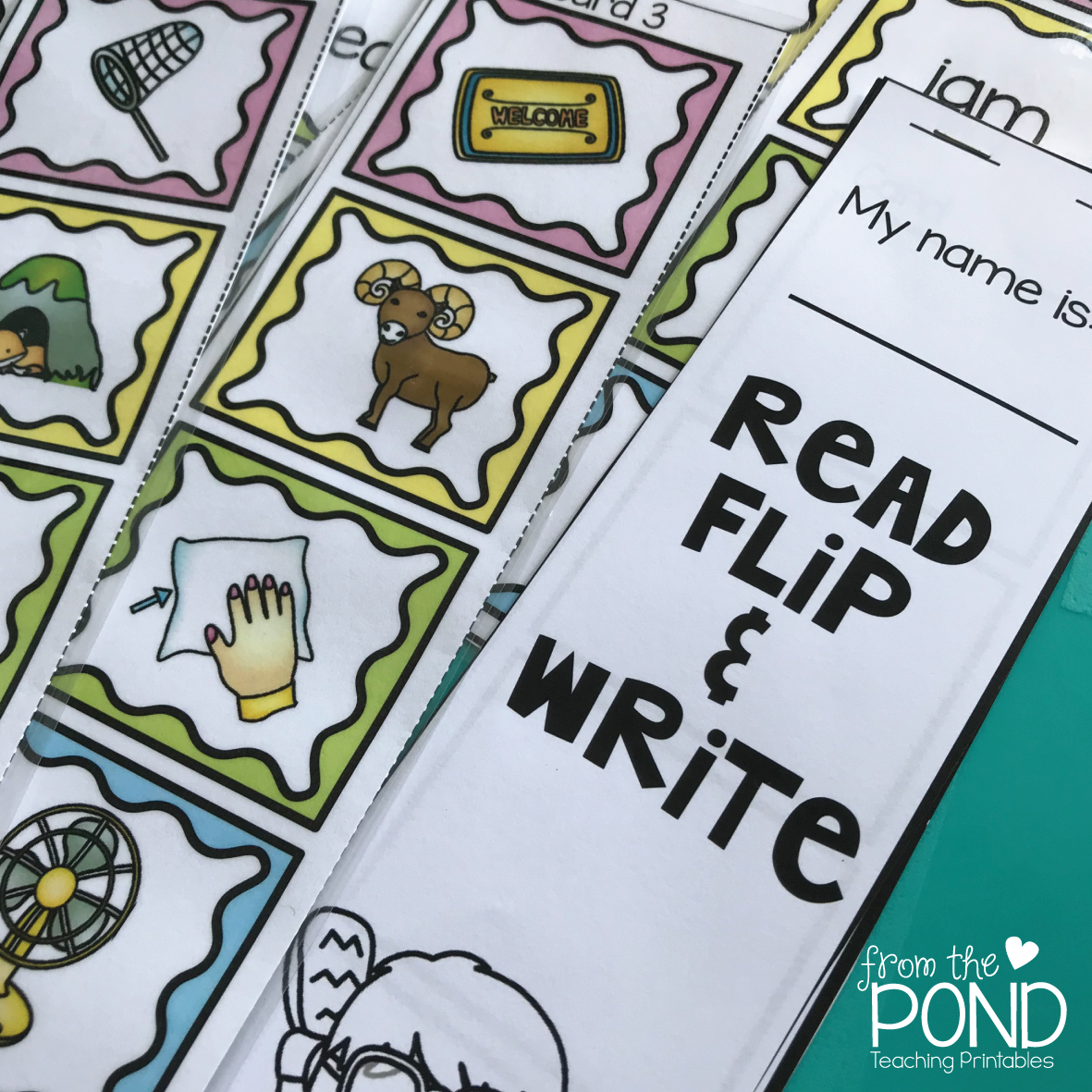 Read, Flip, Write Cards | From the Pond