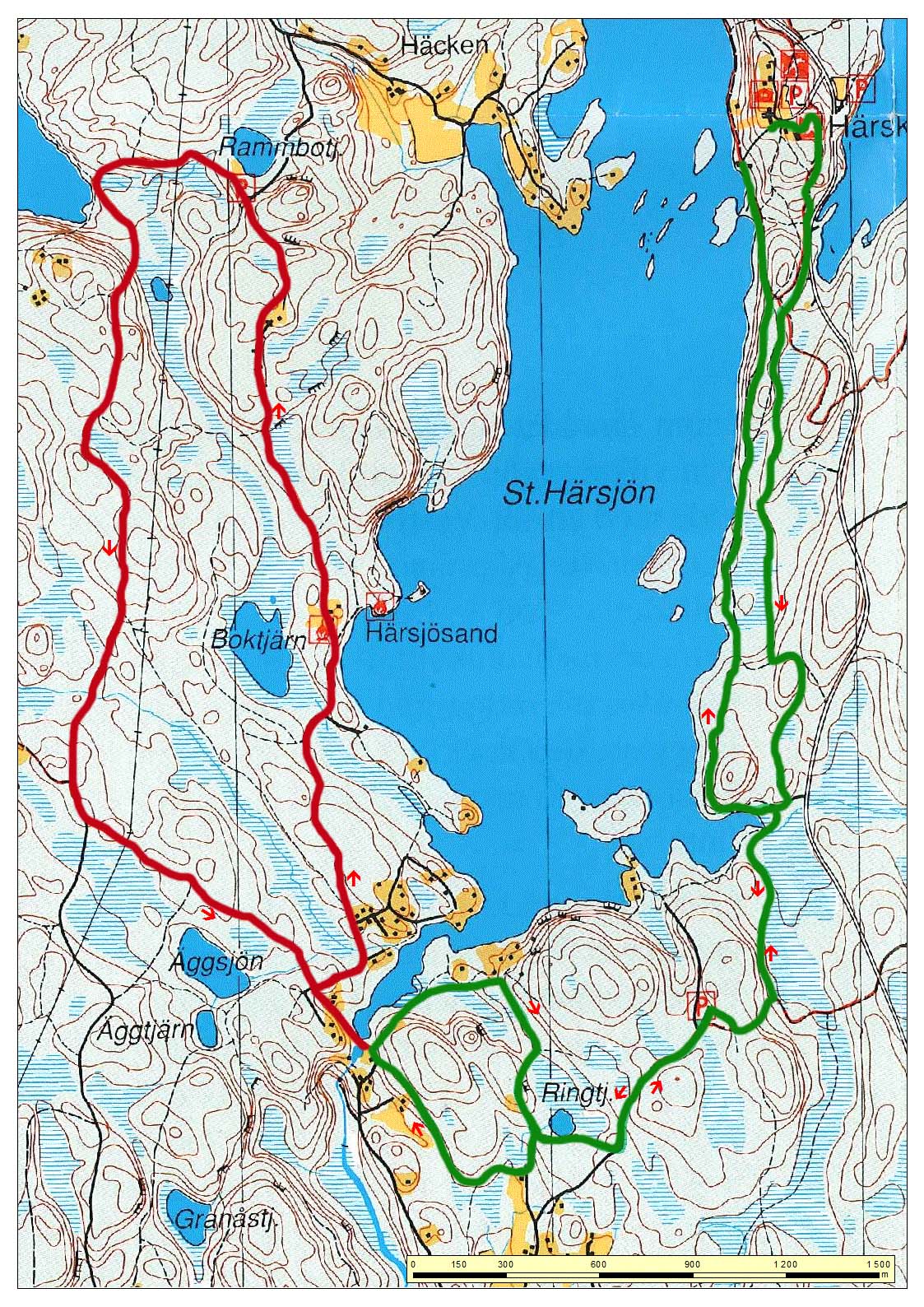 EN SOVANDE UGGLA // LÖPNING OSV.: juni 2012