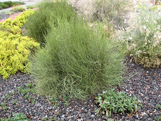 Grow How: A Walk in the Park