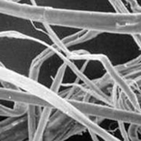 Forensics Study and Analysis: Major Types of FIbers