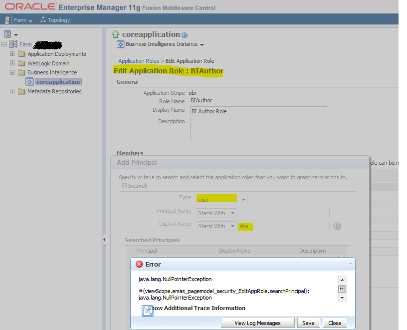 Obiee Tipstricksandconcepts Javalangnullpointerexception When Adding Users To Application