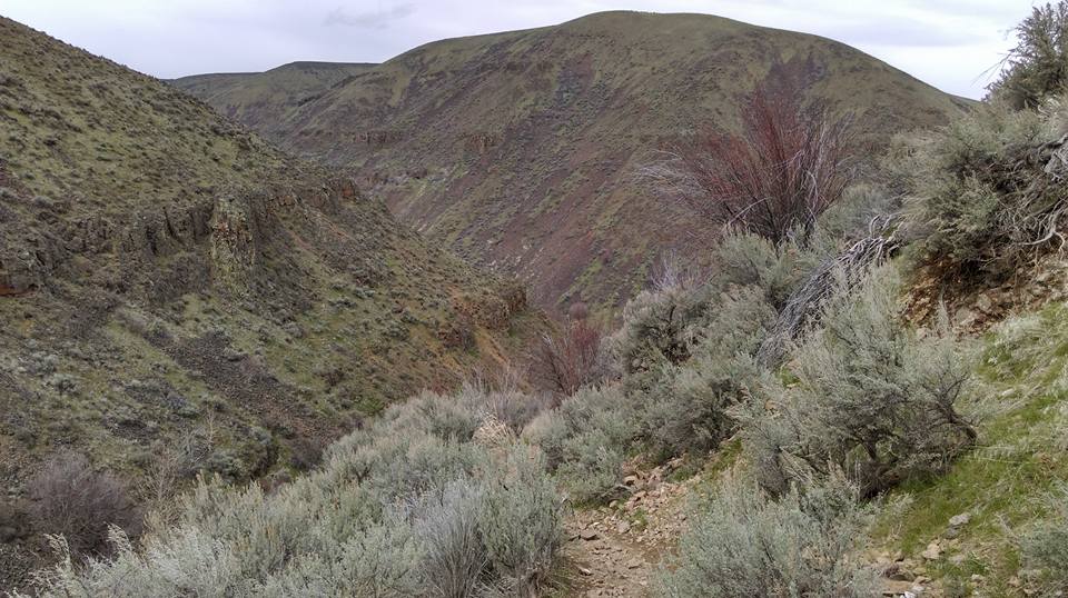 Umtanum Ridge Crest - The First Half - Islands to Mountains