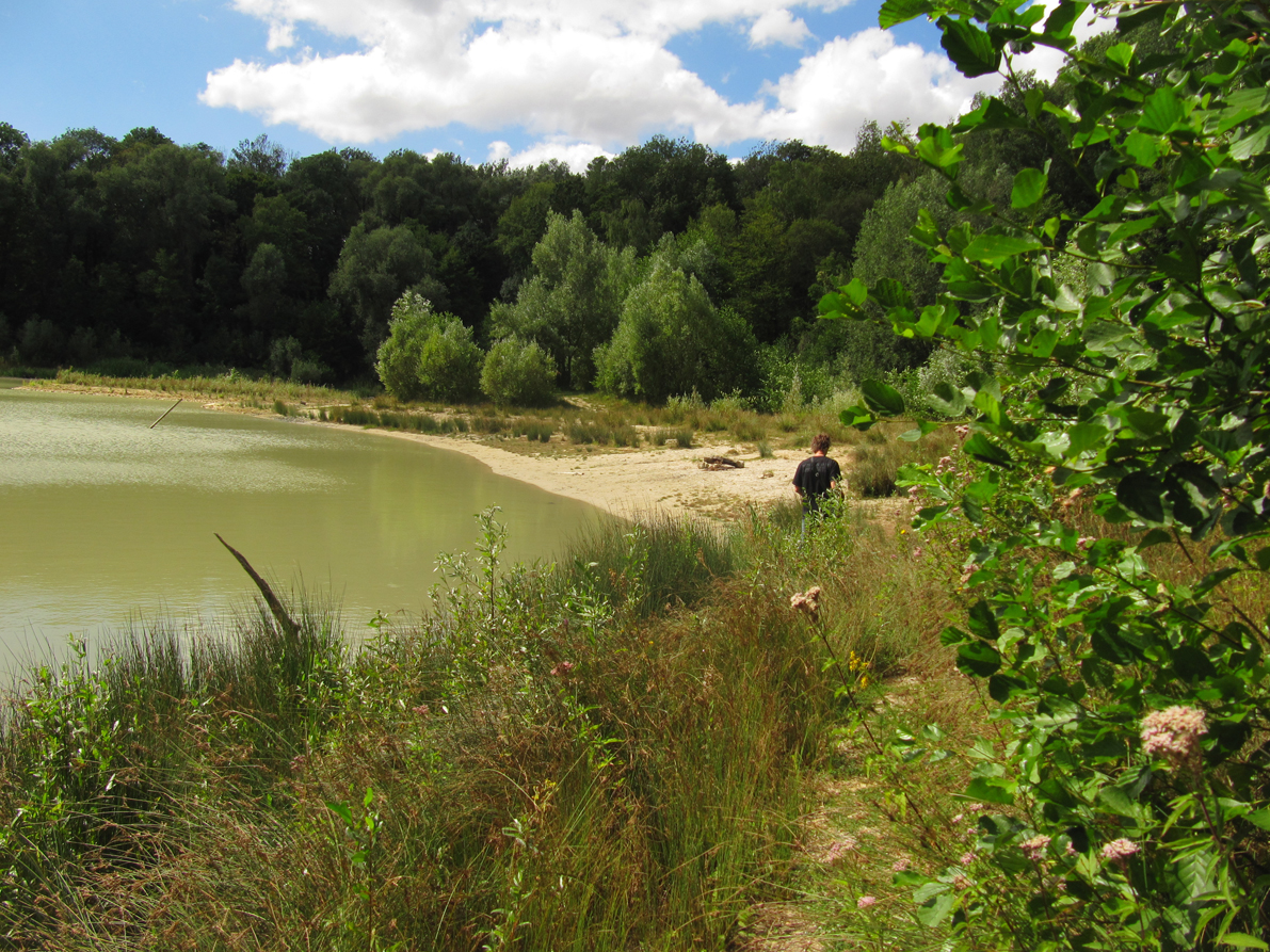 paradis express: Forêt de Carnelle