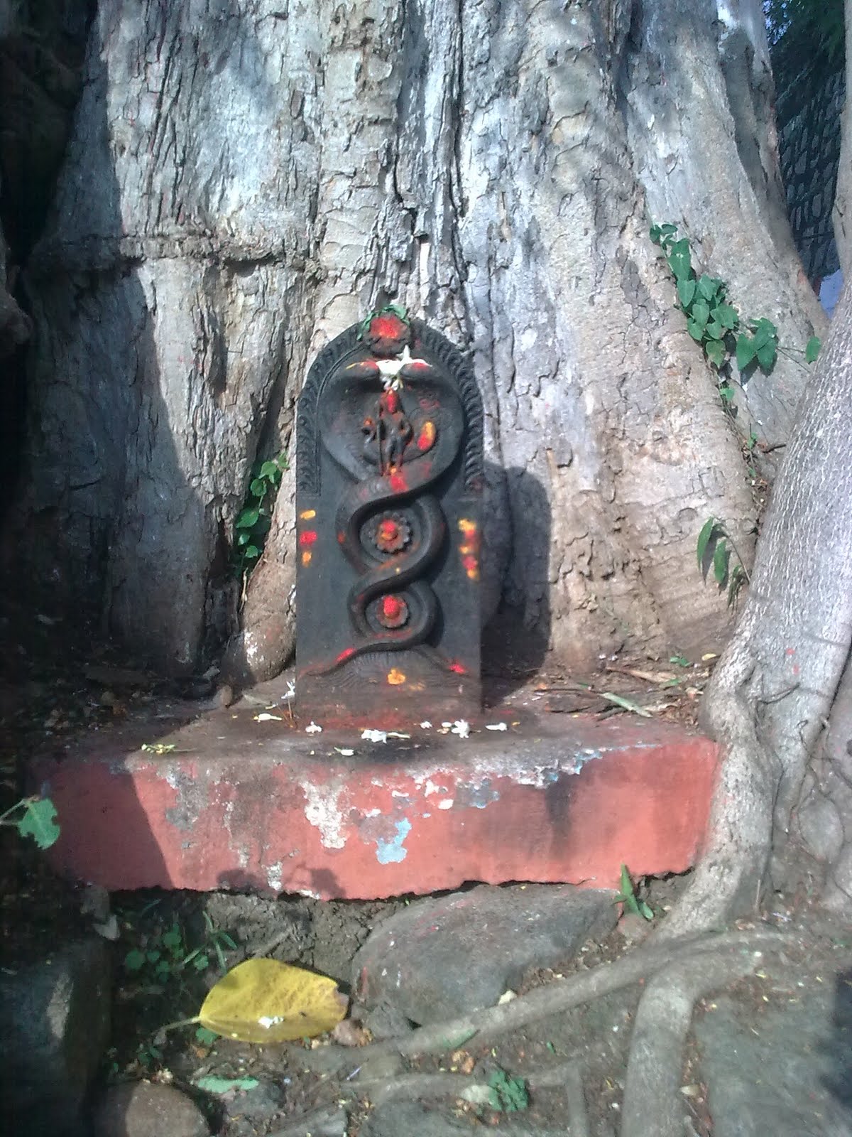 motherindia: Nanjangud To SriraNgapatna via Mighty Mahisur(Mysore):)