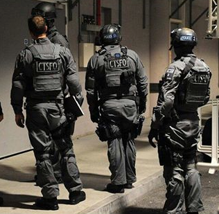 Gsg9 1/87 Unité spéciale: SC0 19 : ctsfo tst tpu