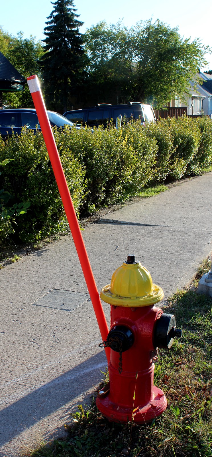 The Murray Chronicles : Fire hydrants, metal boxes on intersection ...