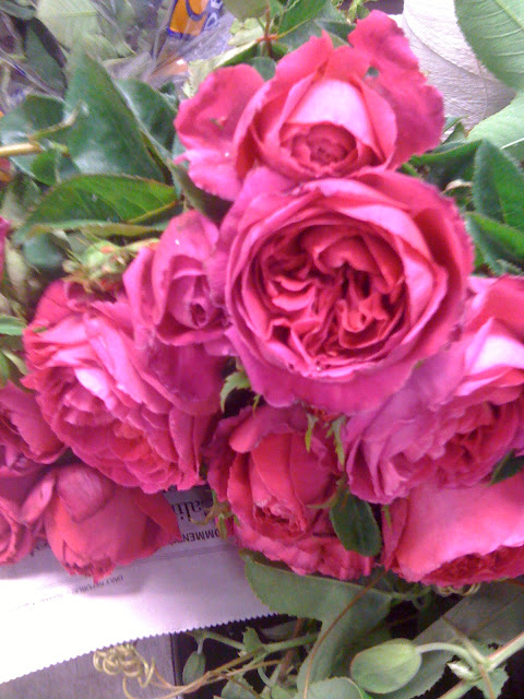 pico soriano designs: ROSES Part one