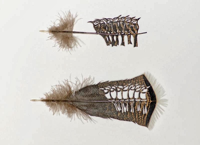 Incredible Feather Art by Chris Maynard |Funroster