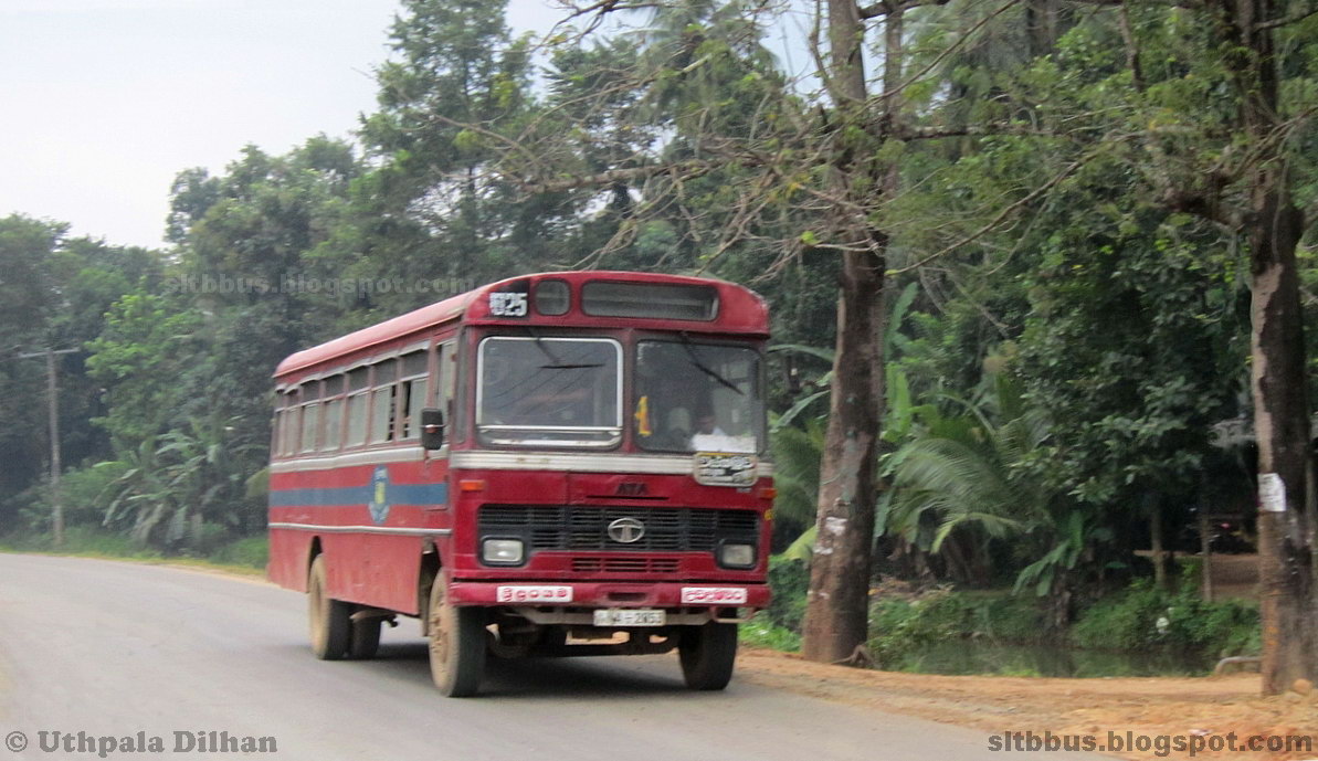 SLTB buses - ශ්‍රී ලංගම බස්: Ruby bodied TATA 1510 bus from SLTB Udadumbara