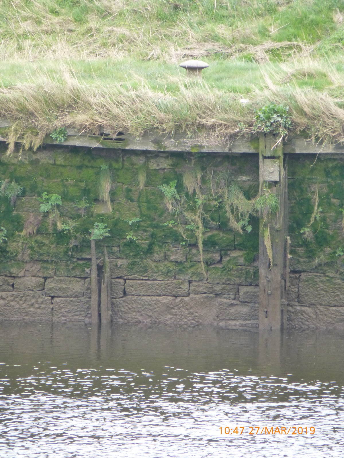 Harris Hikers: Saltney Ferry to Chester along the riverside path 27th ...