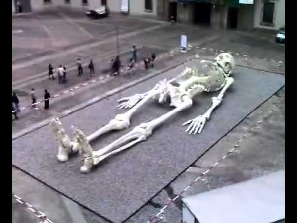 Giants Were not a Mythical Creature ~ Words of Pictures