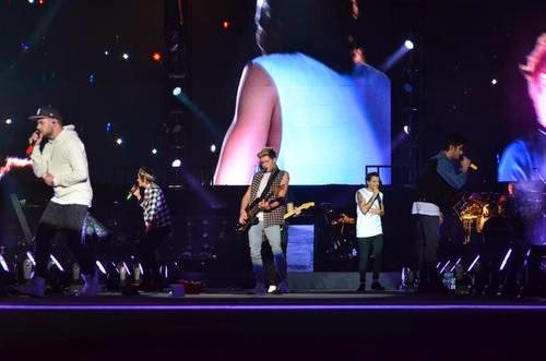 One Direction Blog: Konzert in Lima, Peru (27.04.14)