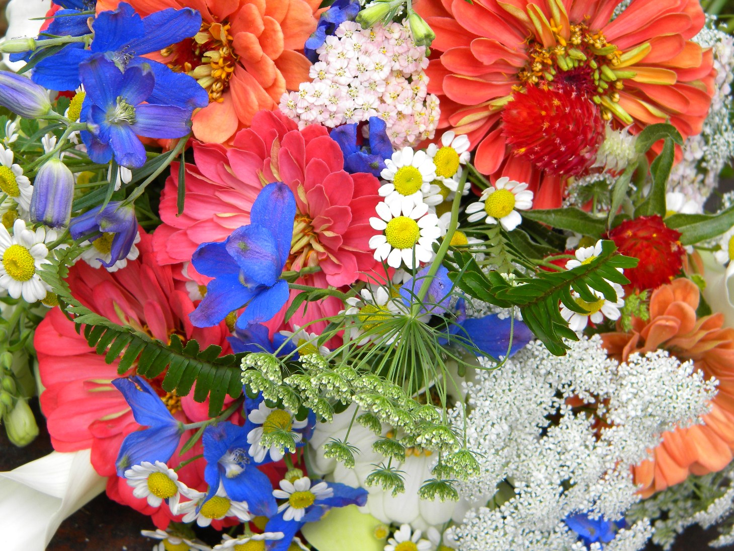 Wedding Flowers from Springwell: Summer Bouquet in Warm Coral and ...
