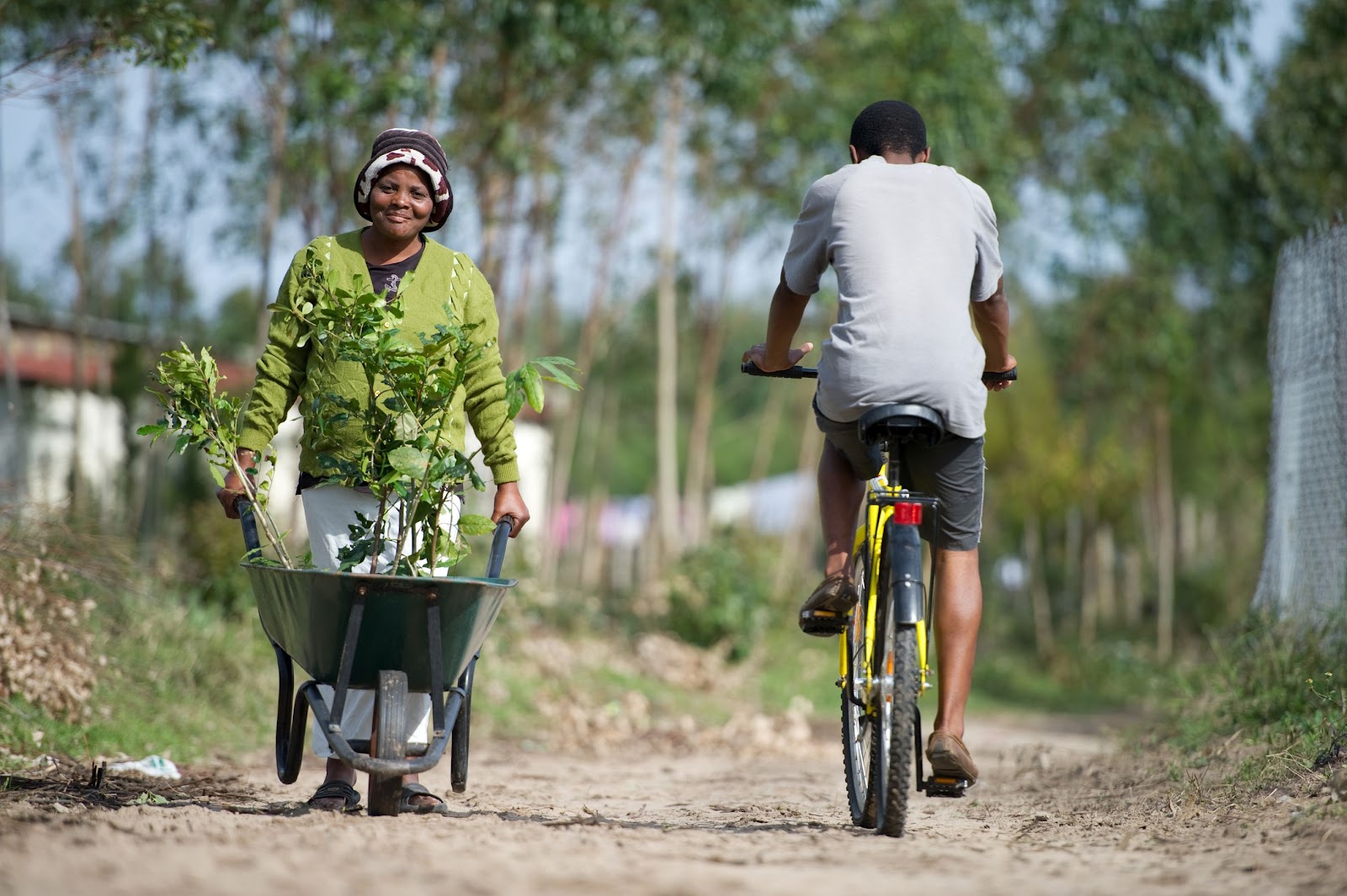 EXP Agency Work: MTN: Qhubeka CSI Programme