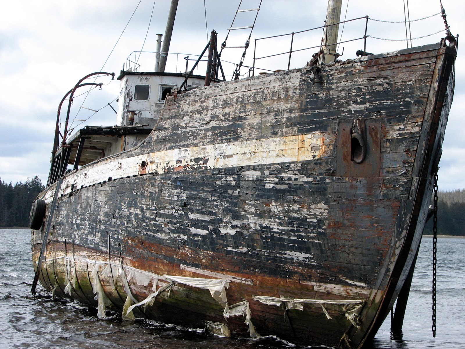 Wildbayarea.com: Boats Stuck on Land