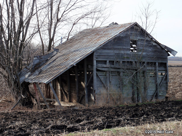 The Digital Research Library of Illinois History Journal™ : The History ...
