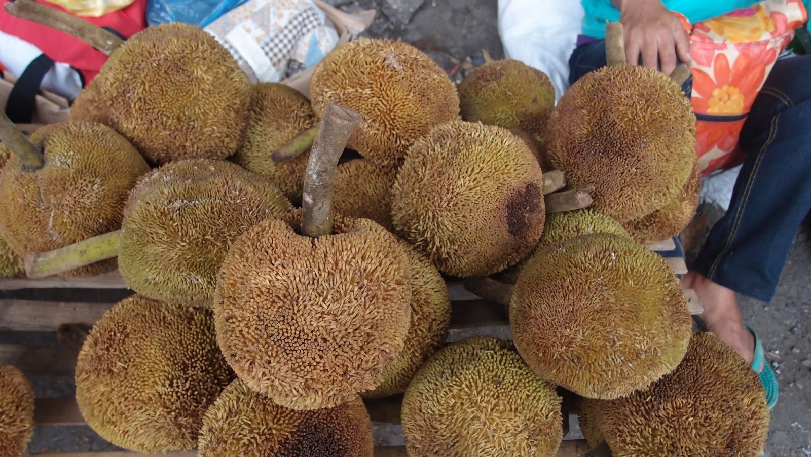 Montreal to Mayumi: Stinky fruit