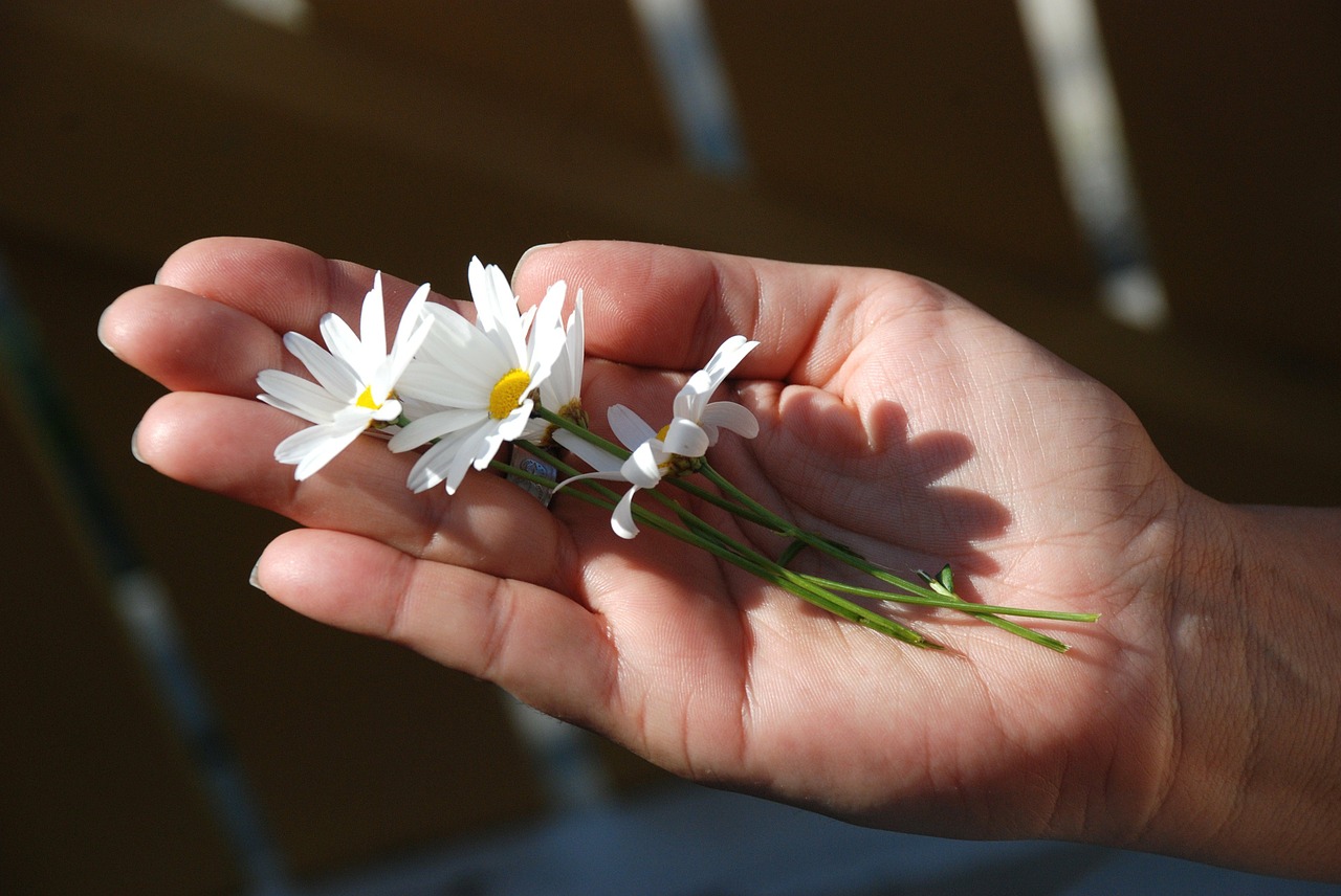 Enlightenmeant the art of letting go: Surrender That